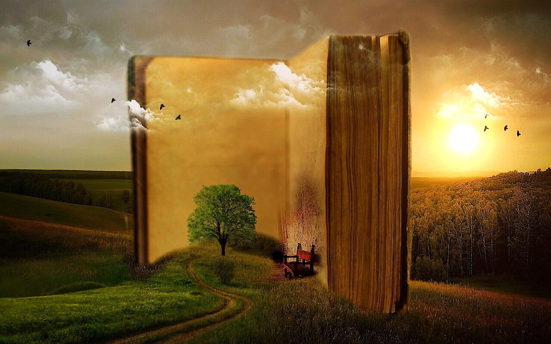 Step into a world of magic: Top ten medieval fantasy novels